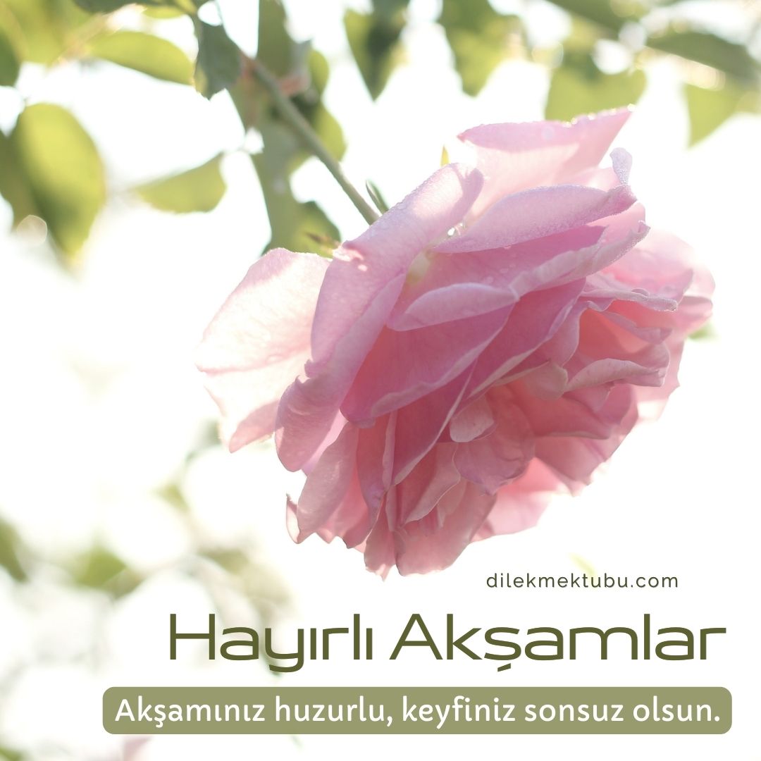 Resimli ve Yazılı Akşam Mesajları